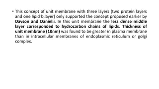 Ultra structure of cell wall | PPTX