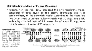 Ultra structure of cell wall | PPTX | Gardening | Home & Garden
