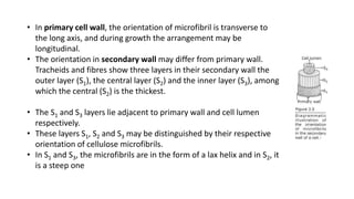 Ultra structure of cell wall | PPTX