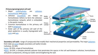 Ultra structure of cell wall | PPTX