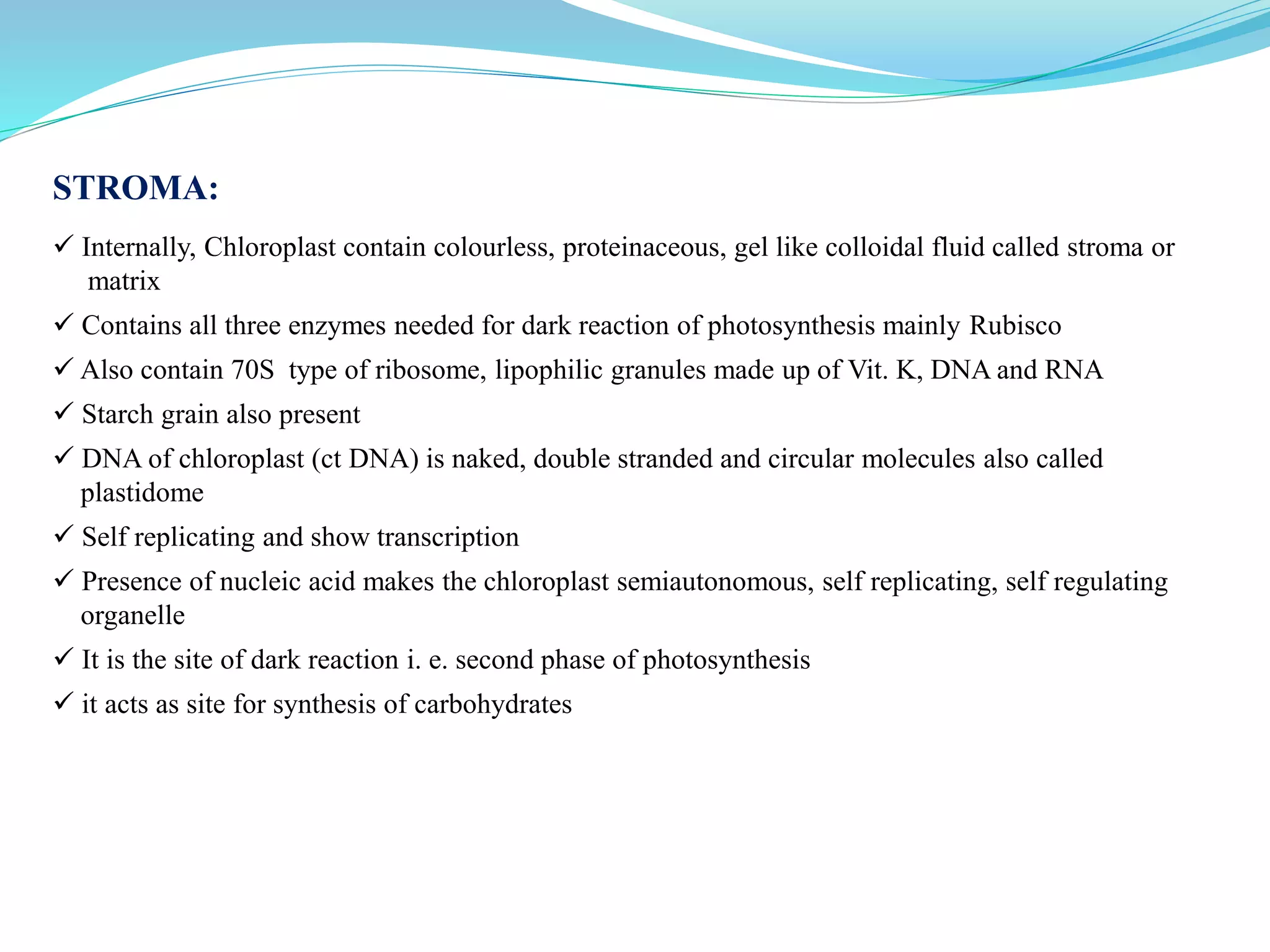 Ultrastructure of chloroplast | PPTX