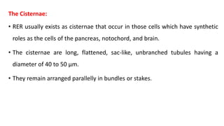 Ultrastructure of Endoplasmic reticulum and functions.pptx