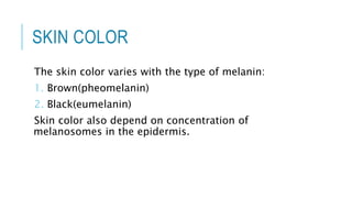 Ultra structure of epidermis .pptx