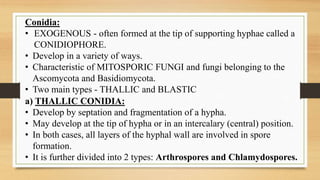 Ultrastructure of fungal cell and different type of | PPTX