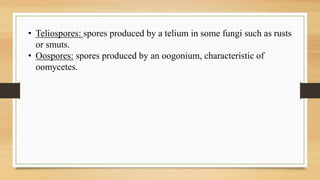 Ultrastructure of fungal cell and different type of | PPTX