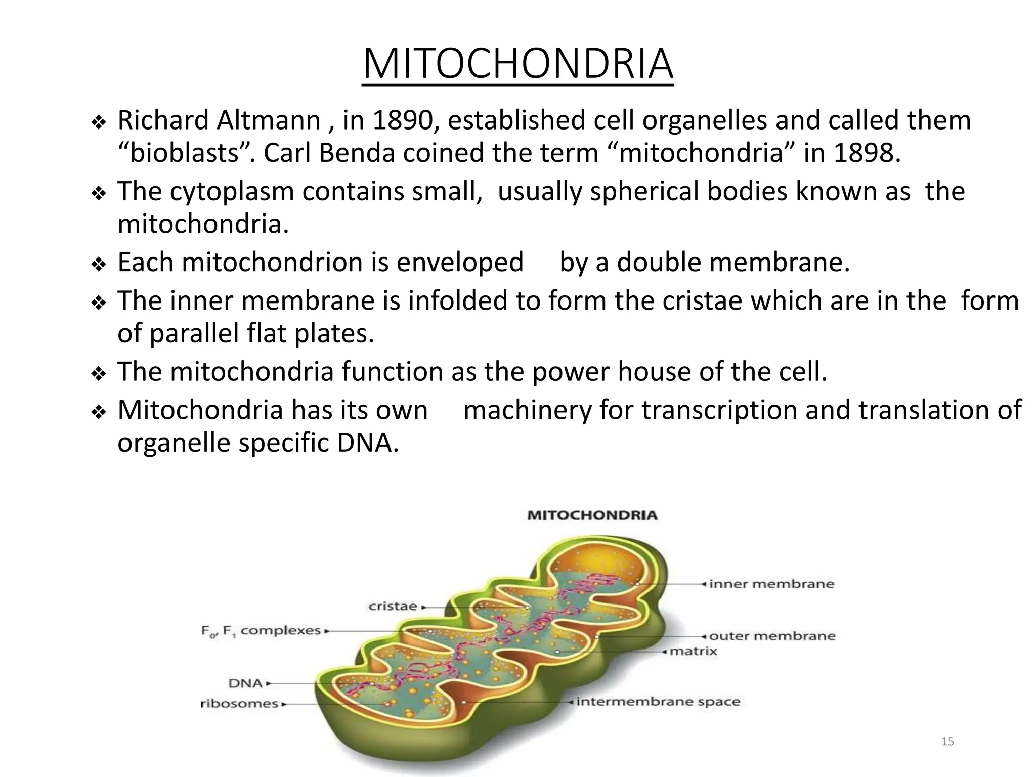 ULTRA STRUCTURE OF FUNGAL CELL AND GROWTH | PPTX