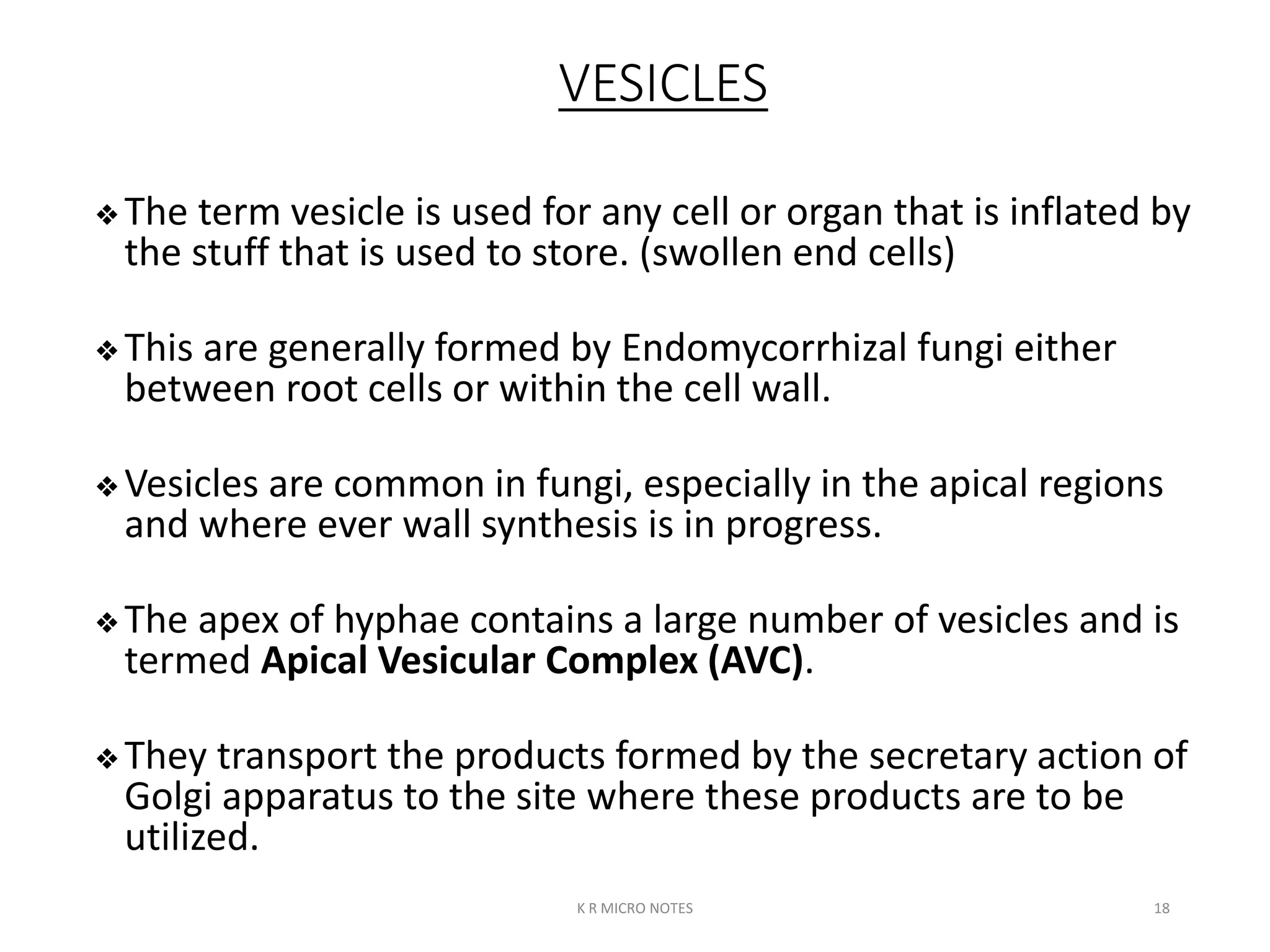 ULTRA STRUCTURE OF FUNGAL CELL AND GROWTH | PPTX