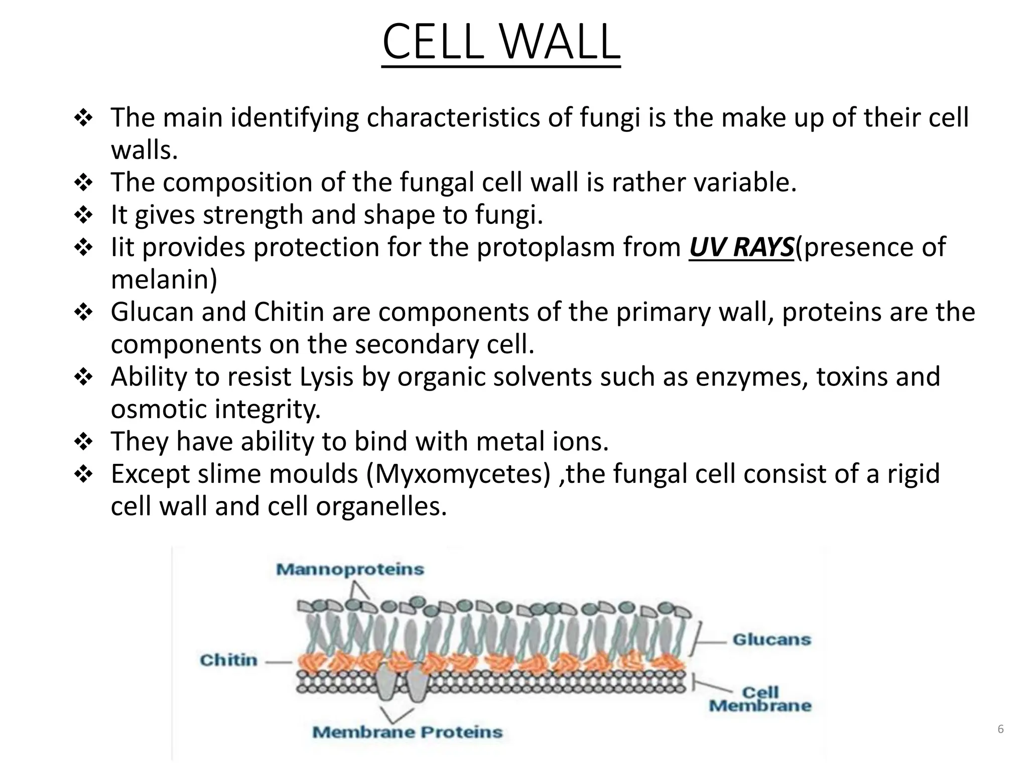 ULTRA STRUCTURE OF FUNGAL CELL AND GROWTH | PPTX