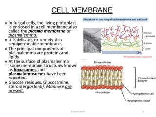 ULTRA STRUCTURE OF FUNGAL CELL AND GROWTH | PPTX