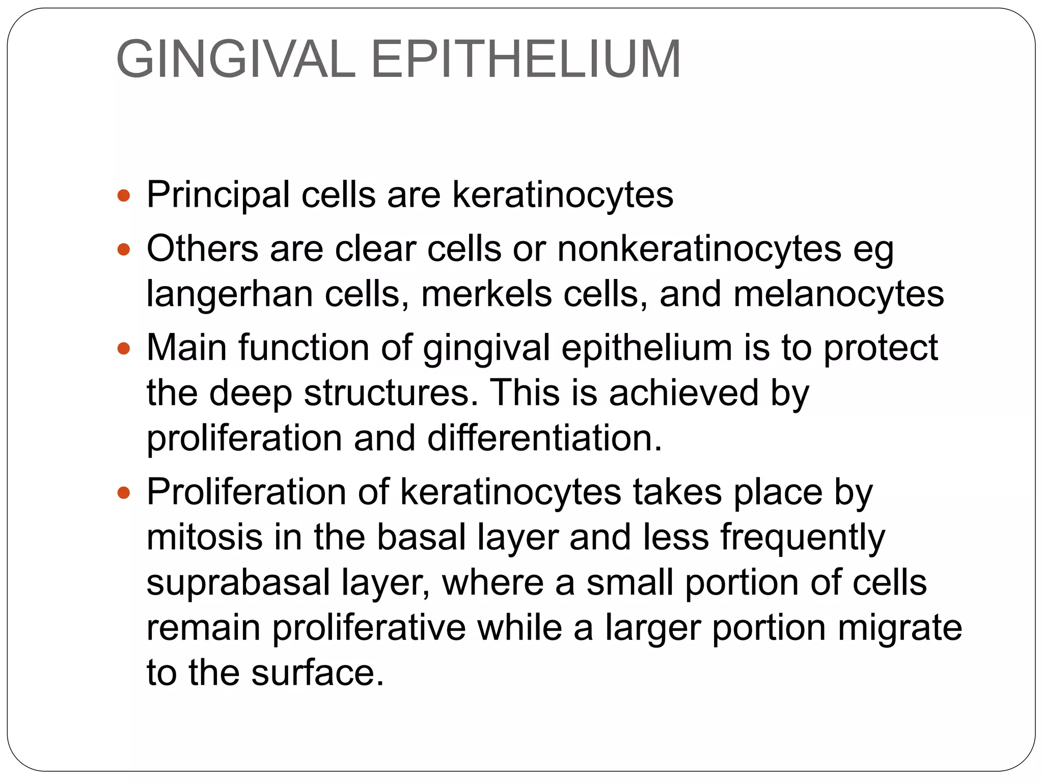 Ultrastructure of gingiva | PPTX | Dental Health | Diseases and Conditions