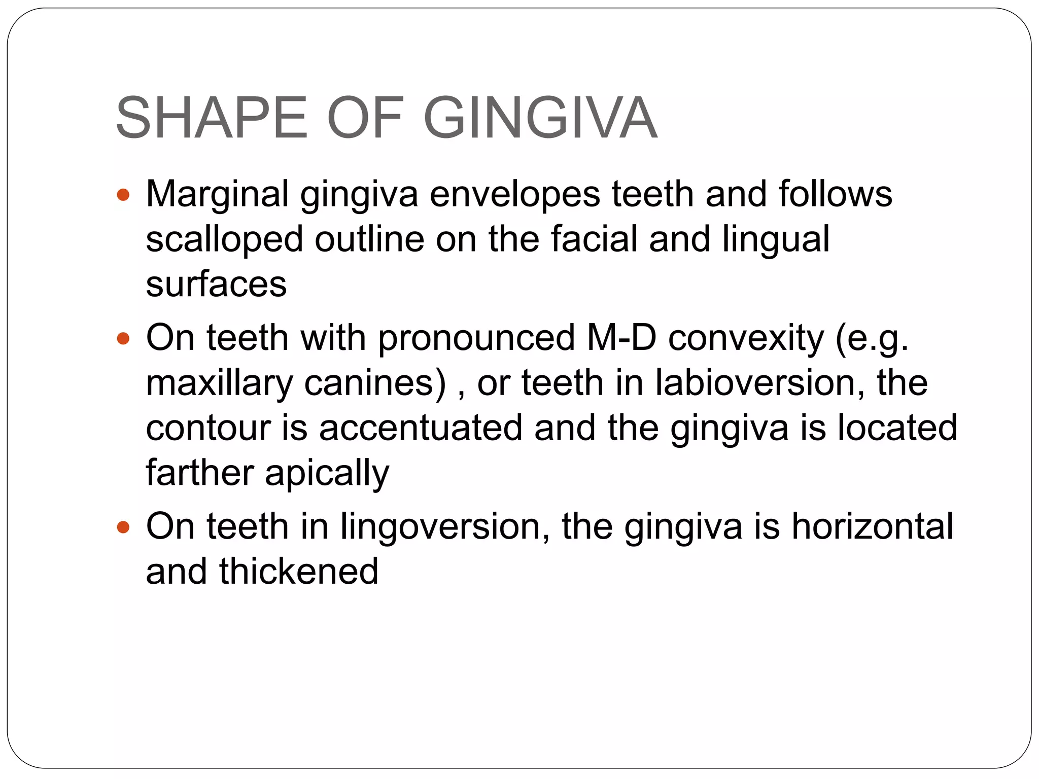 Ultrastructure of gingiva | PPTX | Dental Health | Diseases and Conditions