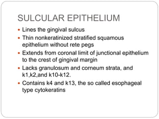 Ultrastructure of gingiva | PPTX