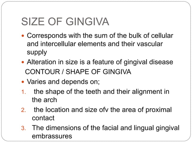 Ultrastructure of gingiva | PPTX | Dental Health | Diseases and Conditions