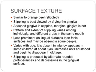 Ultrastructure of gingiva | PPTX