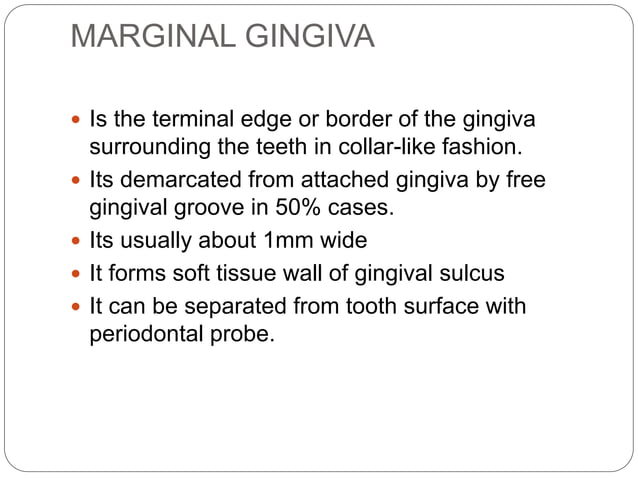 Ultrastructure of gingiva | PPTX | Dental Health | Diseases and Conditions