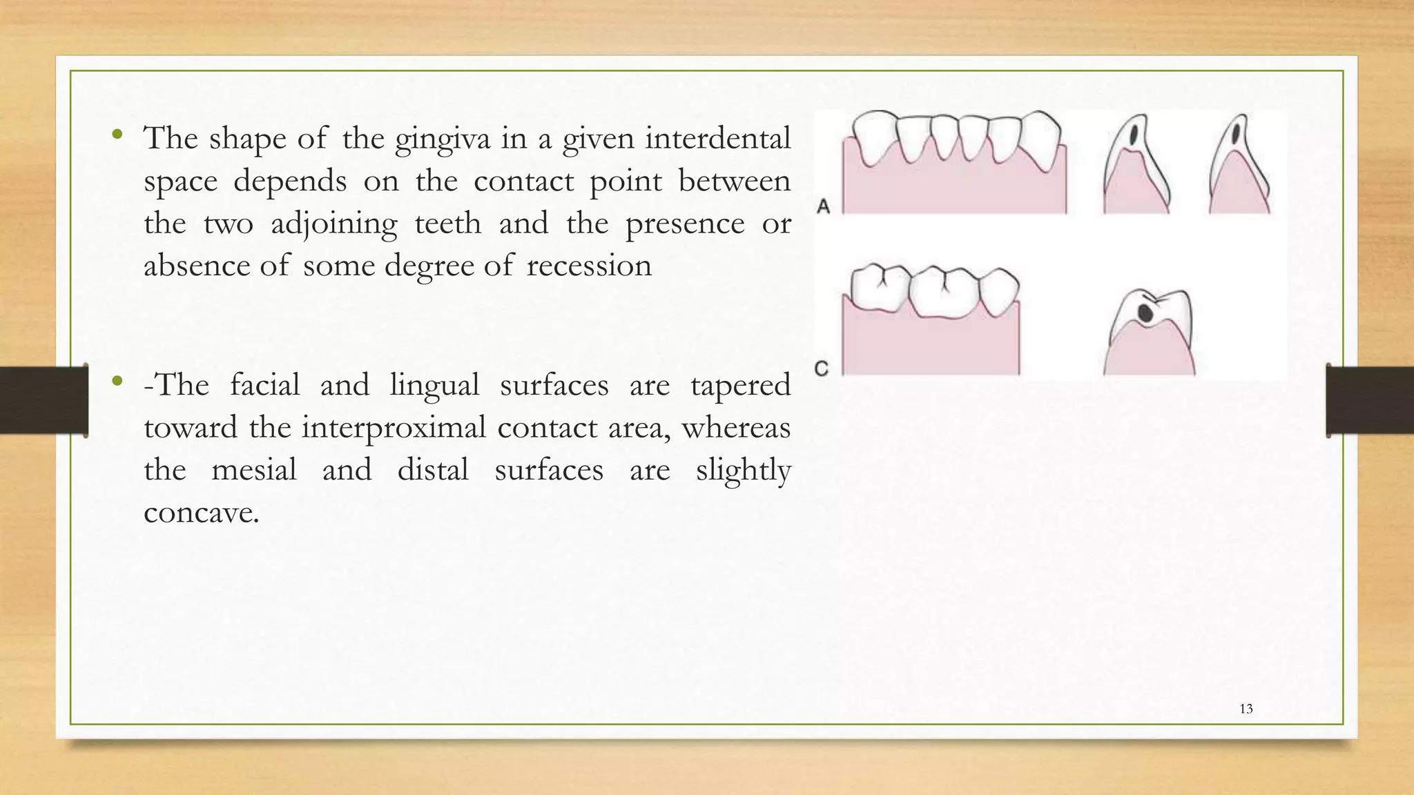Ultrastructure of gingival epithelium in health and disease | PPTX