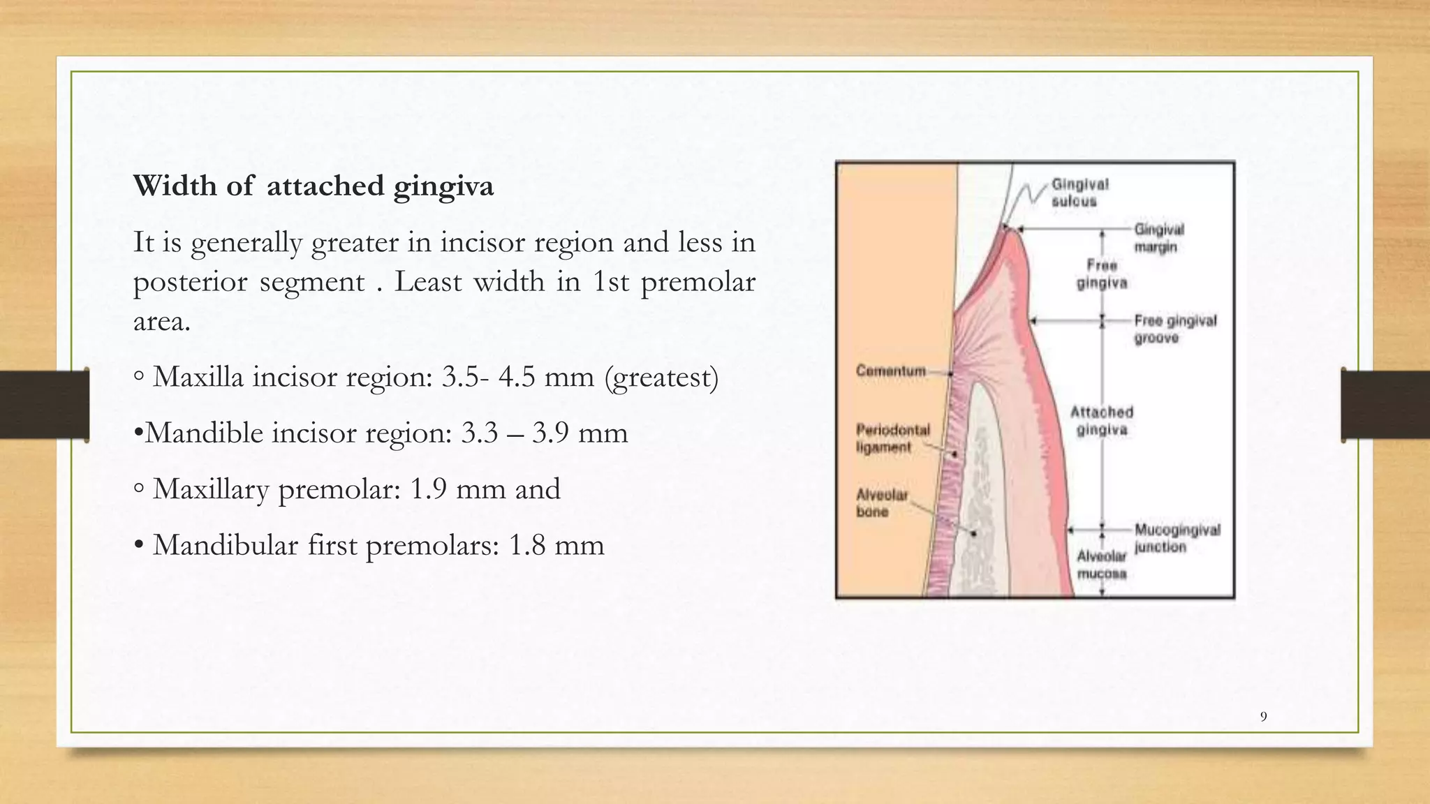 Ultrastructure of gingival epithelium in health and disease | PPTX