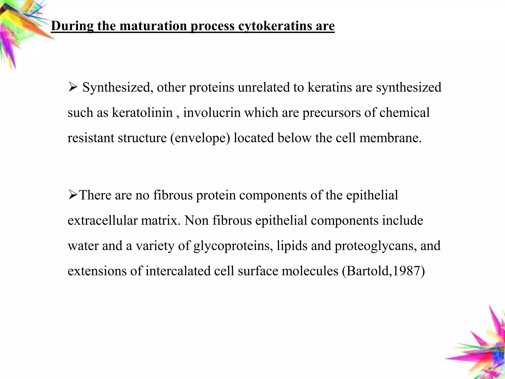 Ultrastructure of gingiva | PPTX