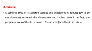 Ultrastructure of Golgi appratus and functions.pptx | Biological ...