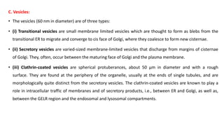 Ultrastructure of Golgi appratus and functions.pptx | Biological ...