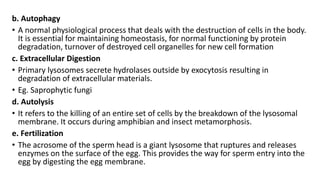 Ultrastructure of Lysosomes and its functions | PPTX