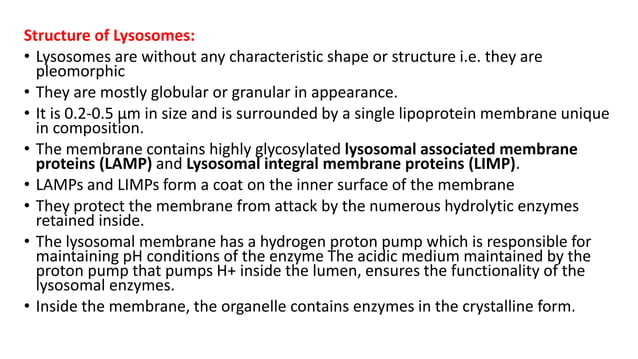 Ultrastructure of Lysosomes and its functions | PPTX | Biological ...