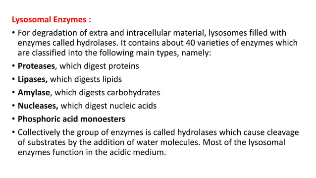 Ultrastructure of Lysosomes and its functions | PPTX | Biological ...