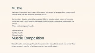Ultrastructure of Muscle and its detailed information | PPTX