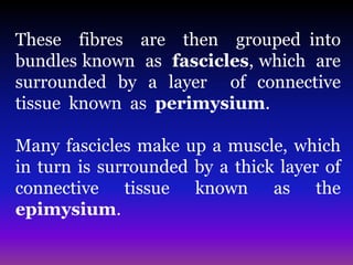 Muscle contraction | PPTX