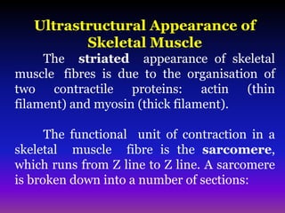 Muscle contraction | PPT