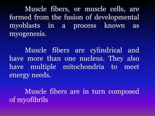 Muscle contraction | PPT