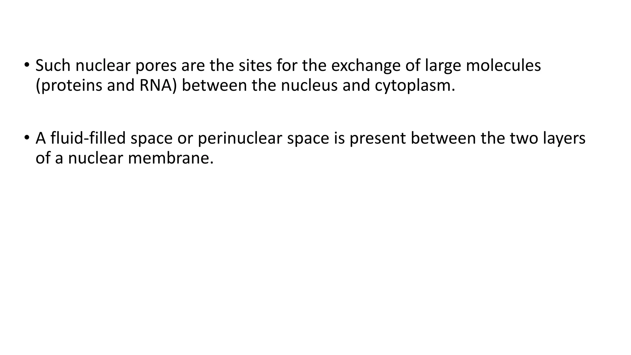Ultrastructure of Nucleus and functions | PPTX