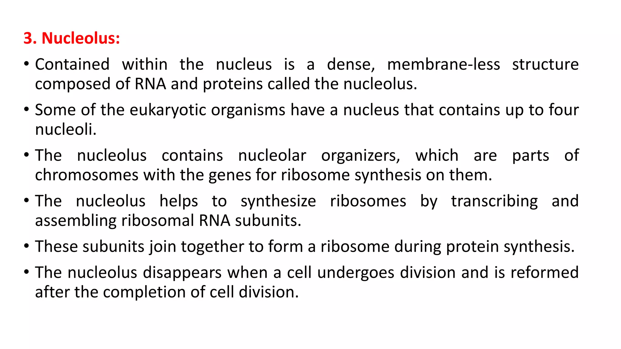 Ultrastructure of Nucleus and functions | PPTX