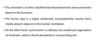 Ultrastructure of Nucleus and functions | PPTX