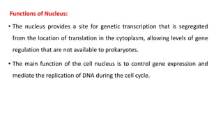 Ultrastructure of Nucleus and functions | PPTX