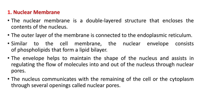 Ultrastructure of Nucleus and functions | PPTX