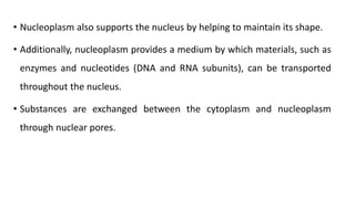 Ultrastructure of Nucleus and functions | PPTX