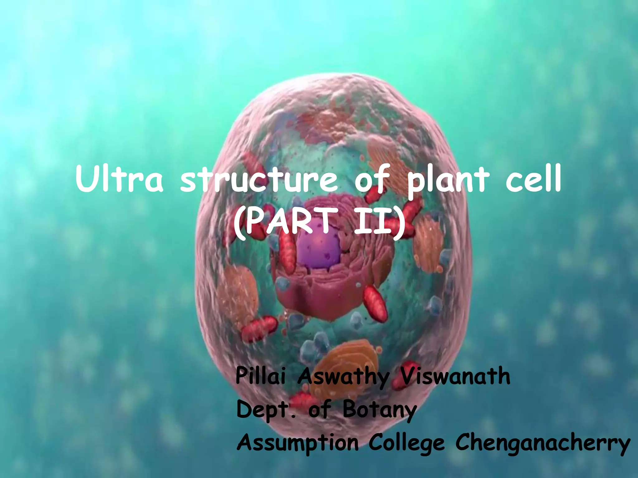 Ultra structure of plant cell (2) | PPT