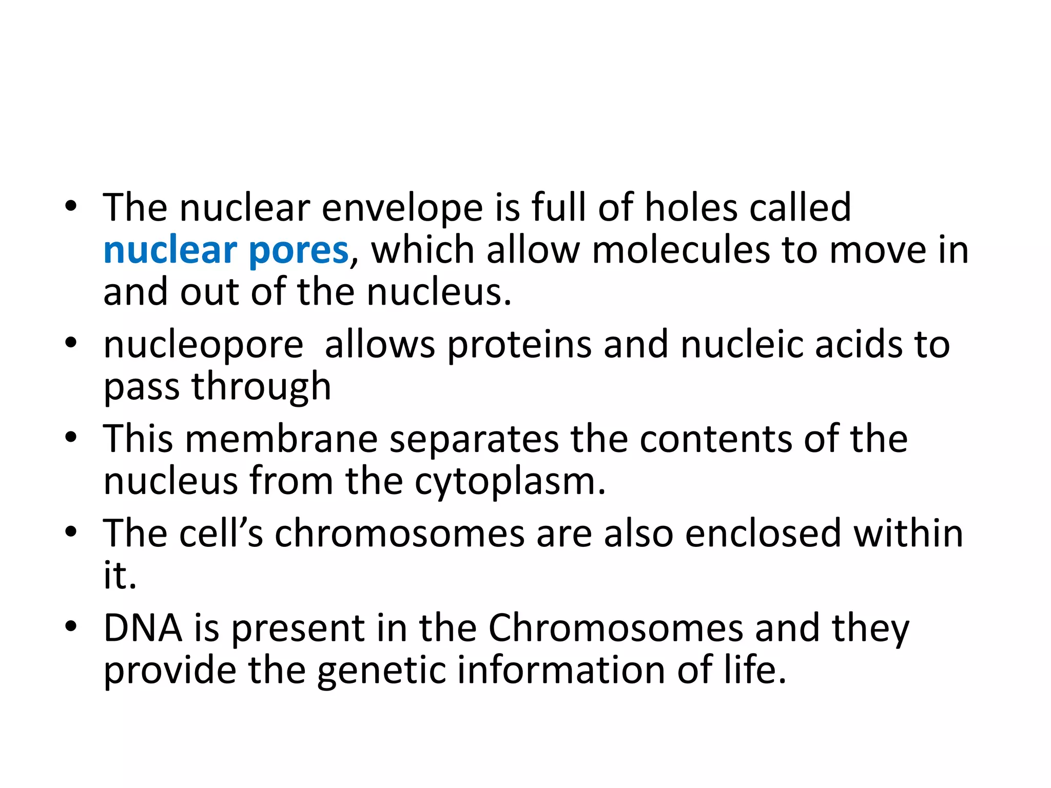 Ultra structure of plant cell (2) | PPT