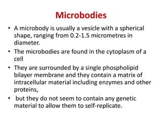 Ultra structure of plant cell (2) | PPT