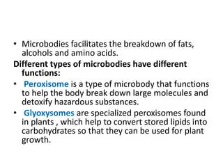 Ultra structure of plant cell (2) | PPT