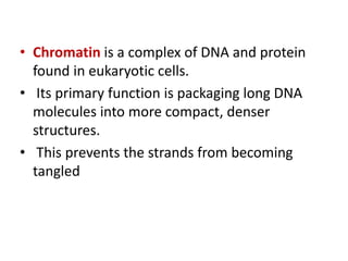 Ultra structure of plant cell (2) | PPTX