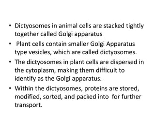 Ultra structure of plant cell (2) | PPT