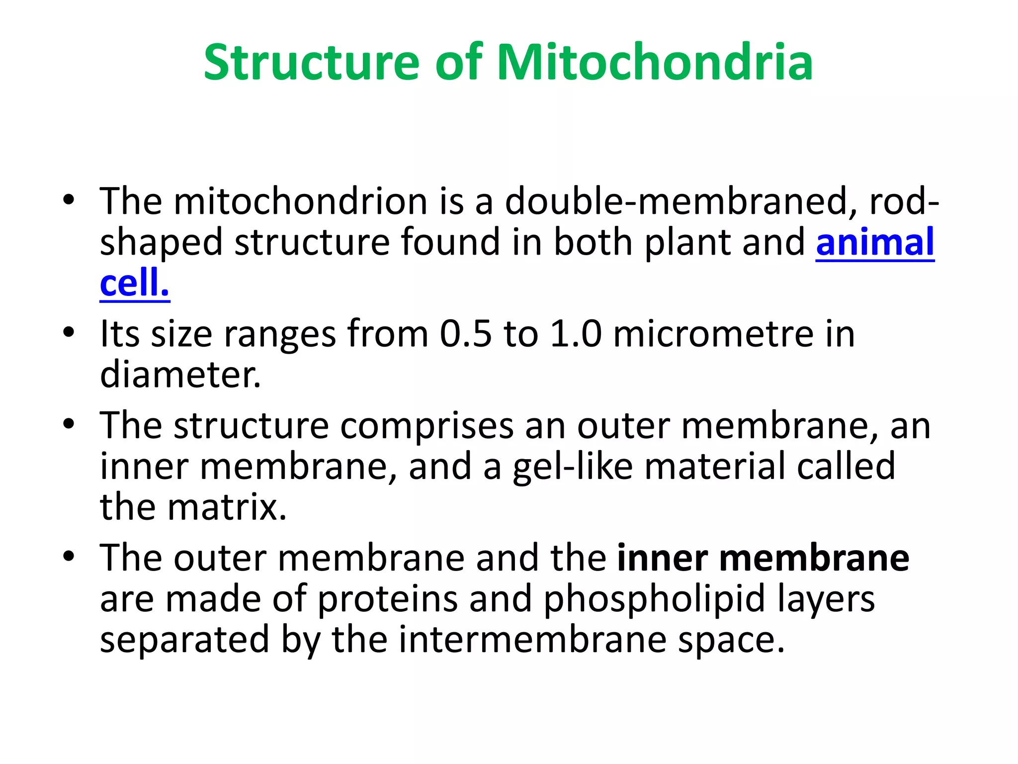 Ultra structure of plant cell (1) | PPTX