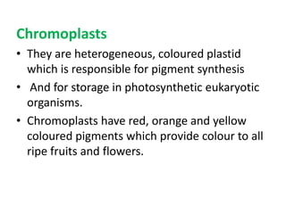 Ultra structure of plant cell (1) | PPTX