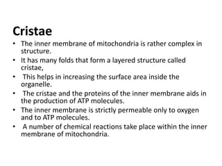 Ultra structure of plant cell (1) | PPTX
