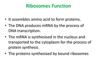 Ultra structure of plant cell (1) | PPTX