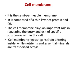 Ultra structure of plant cell (1) | PPTX