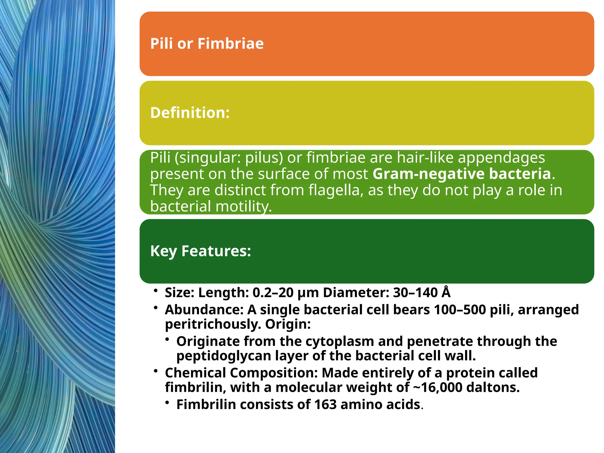 Ultra Structure of Prokaryotic Cell.pptx By Thirunahari Ugandhar | PPTX