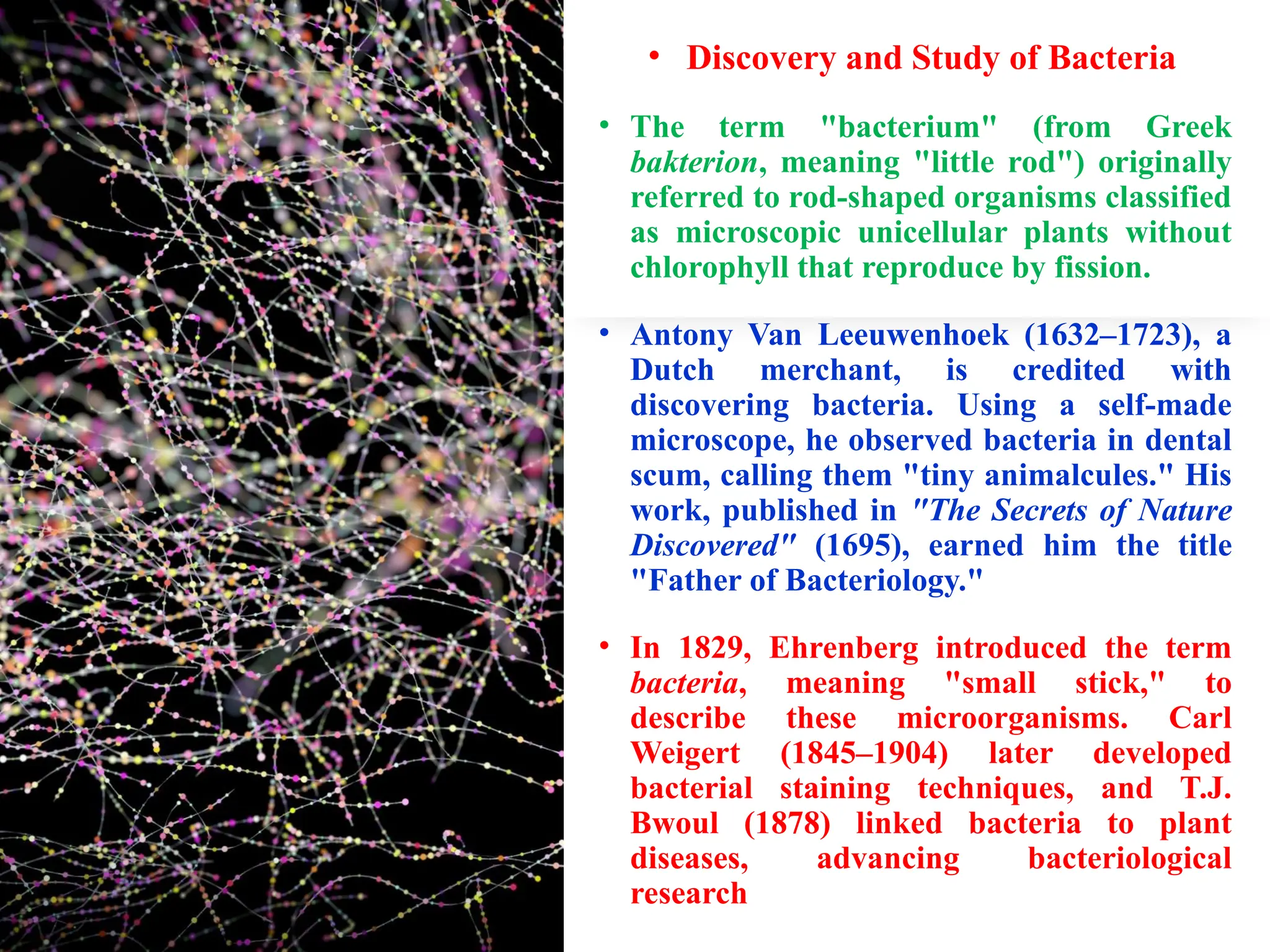 Ultra Structure of Prokaryotic Cell.pptx By Thirunahari Ugandhar | PPTX